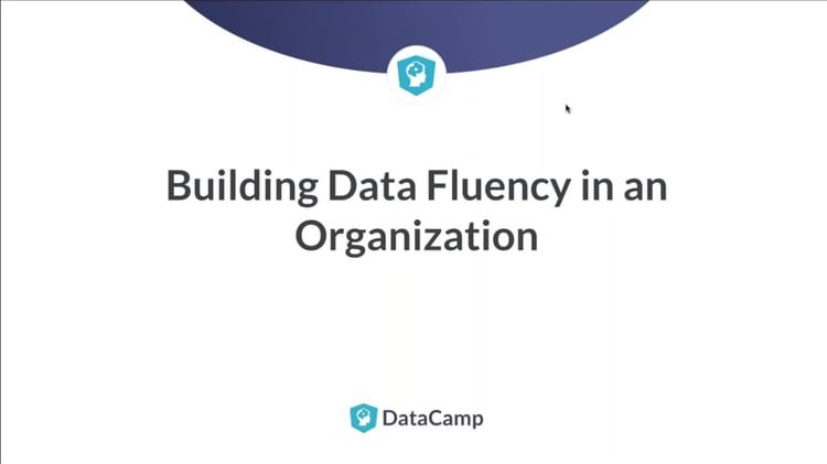 Building Data Fluency in an Organization | DataCamp